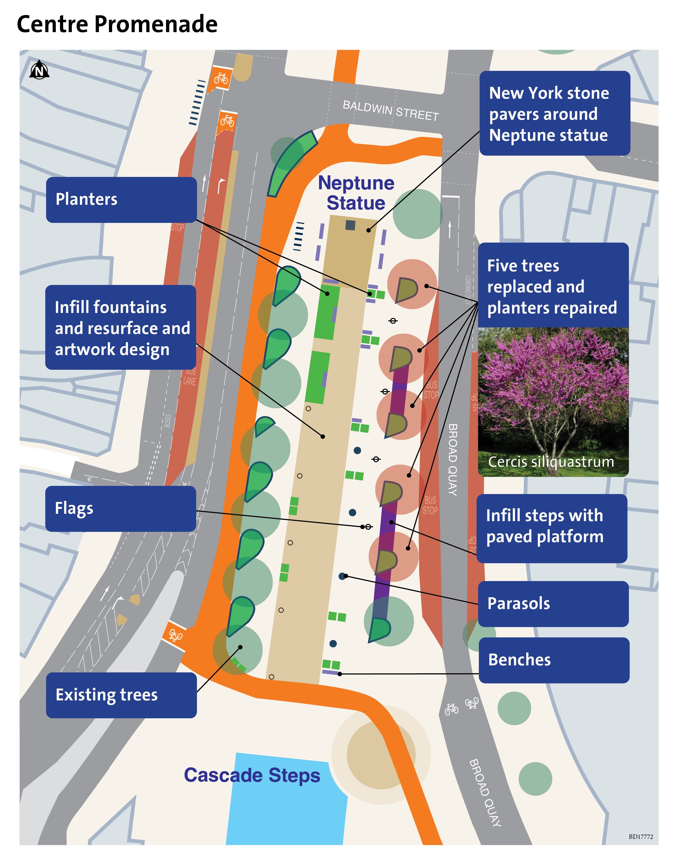 Centre Promenade works